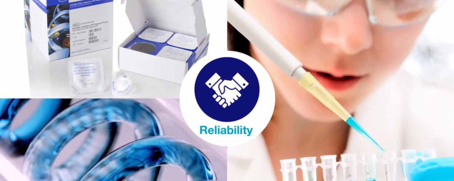 Viral Filtration Validation Study Design – Method for Choosing the Most ...