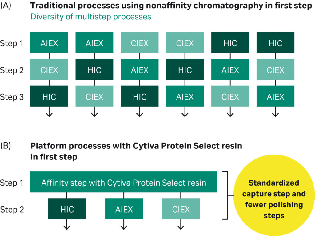 Cytiva™ Protein Select™ Resin - A new affinity resin for recombinant proteins